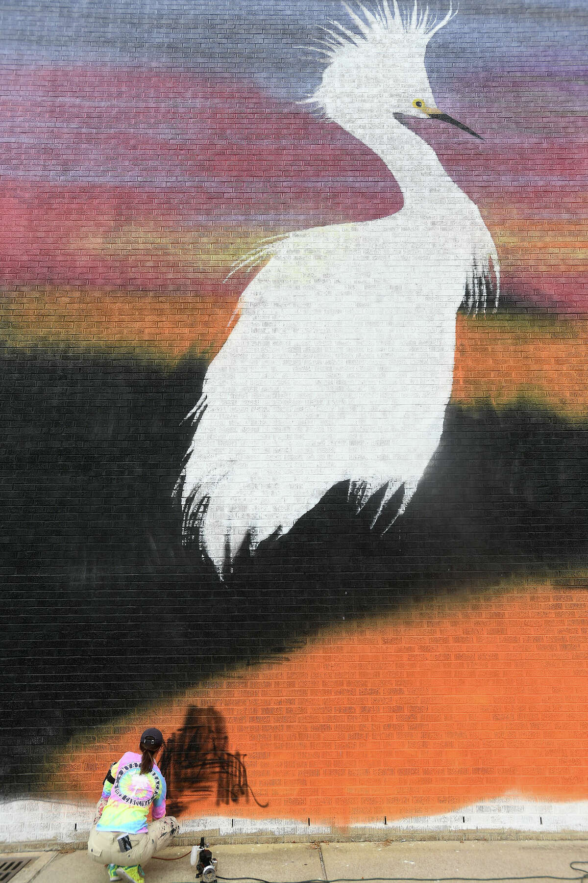 Meet Meghan Cobb - the artist behind Beaumont's newest mural