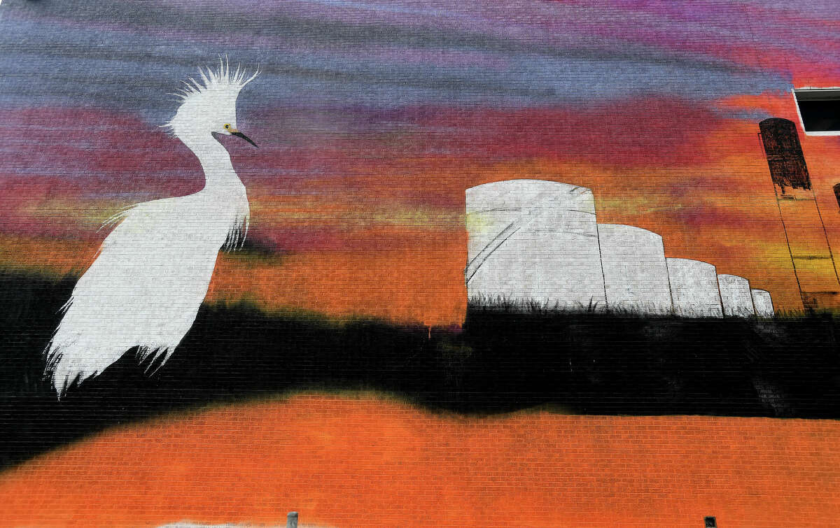 Meet Meghan Cobb - the artist behind Beaumont's newest mural