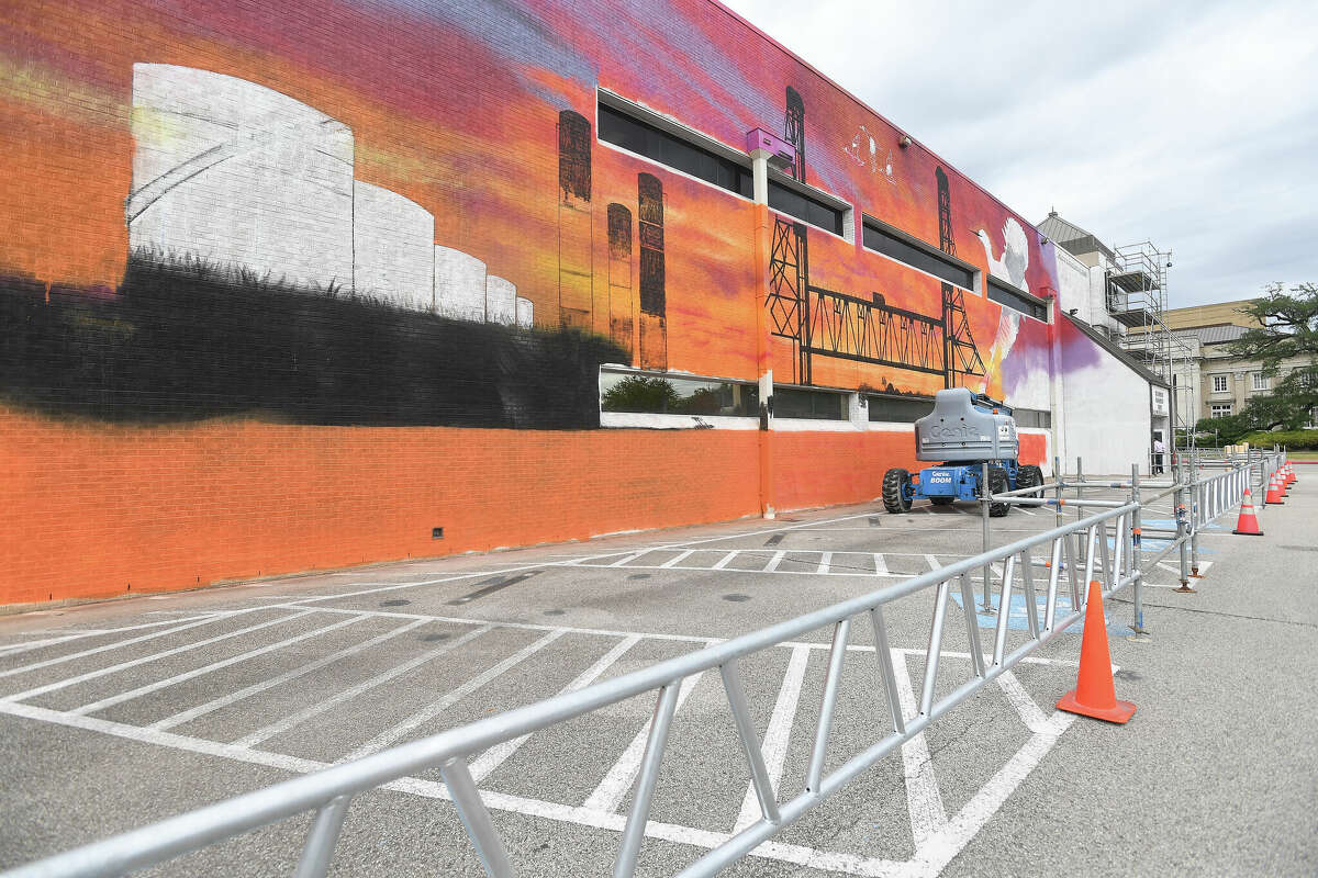 Meet Meghan Cobb - the artist behind Beaumont's newest mural