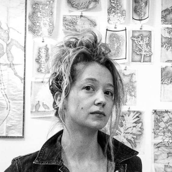 West Shore Community College Humankind Series presents Dluzen exhibit