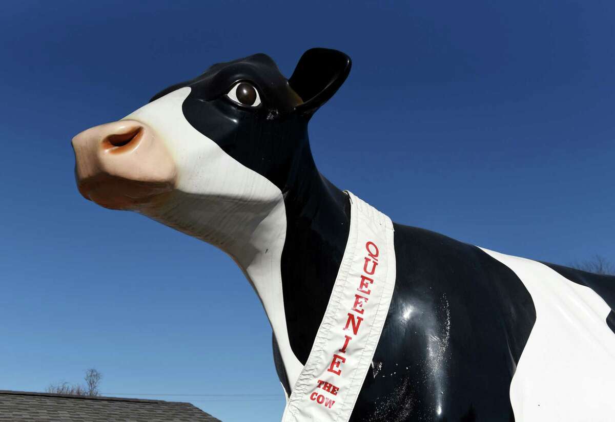 2010 New York City Marathon