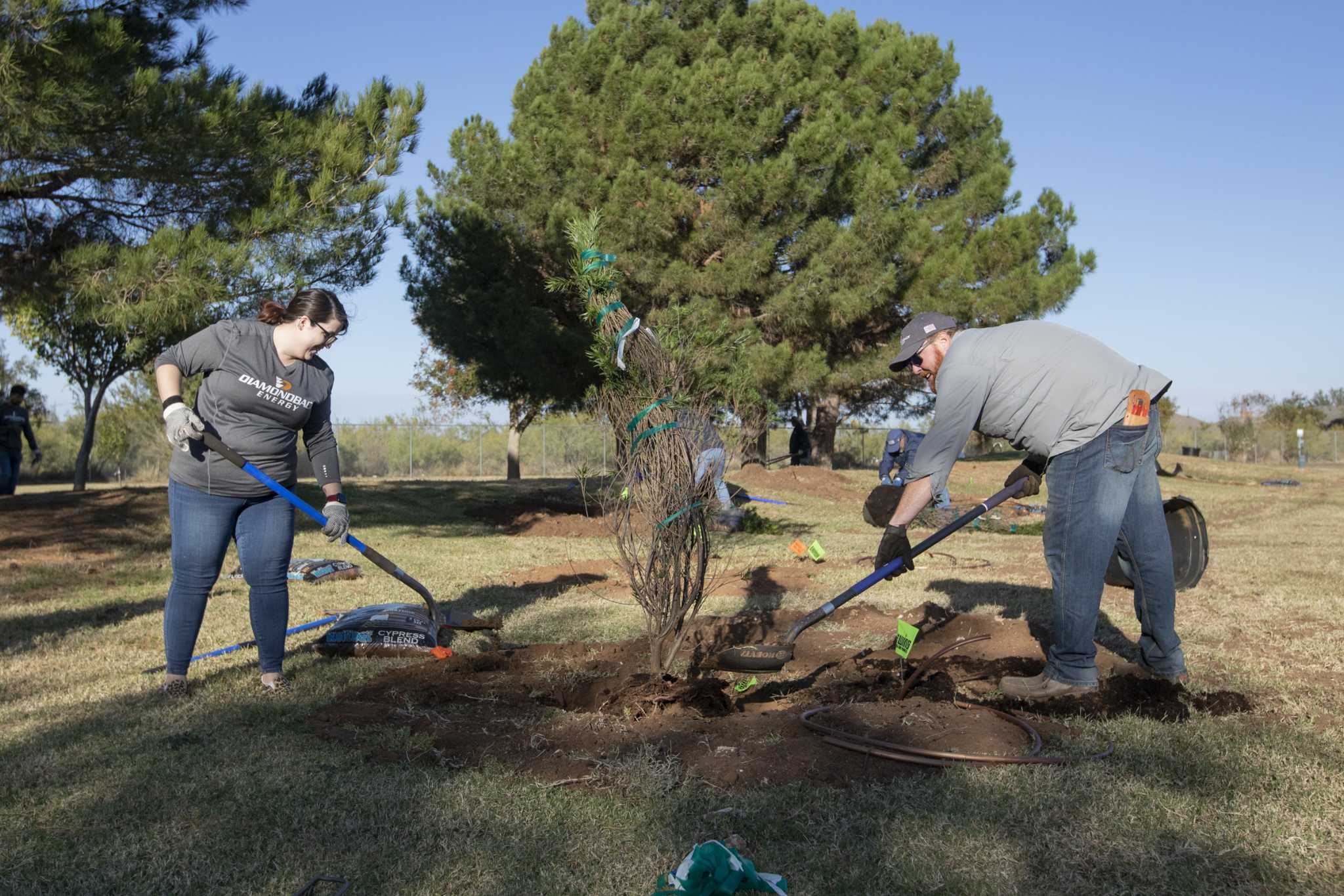 Keep Midland BeautifulTreeKeepers, Diamondback Energy, City of Midland ...