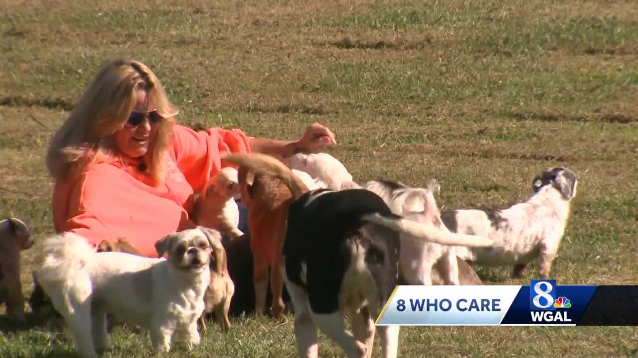 York County woman gives senior animals a second chance