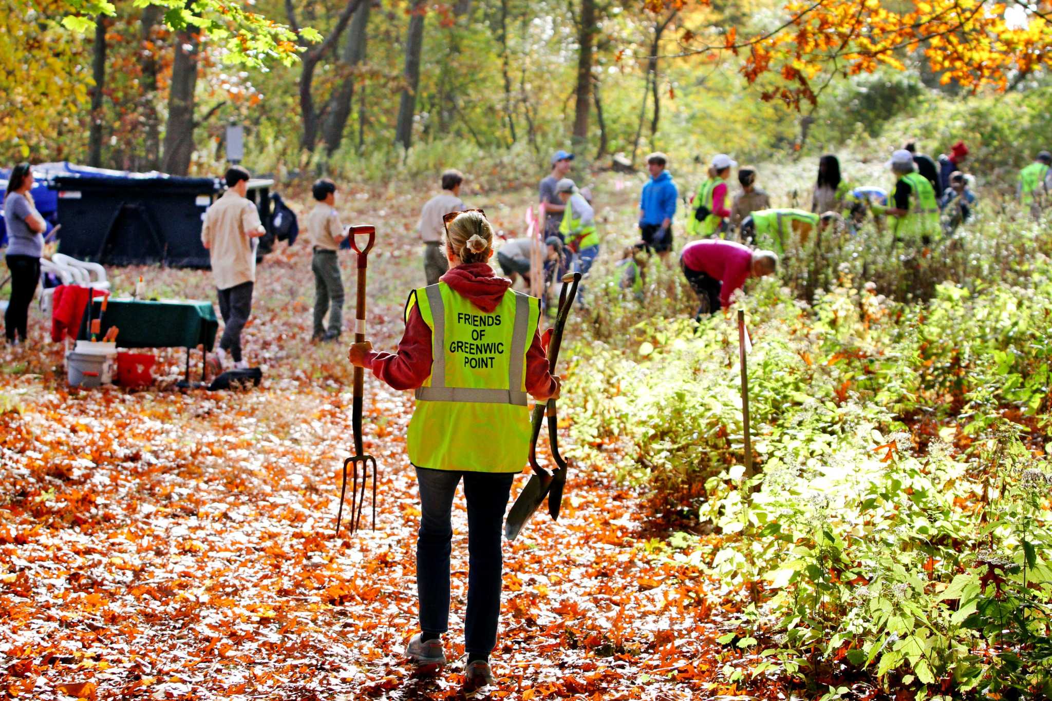 In photos: Friends of Greenwich Point hold ‘weed-and-seed’ event at ...