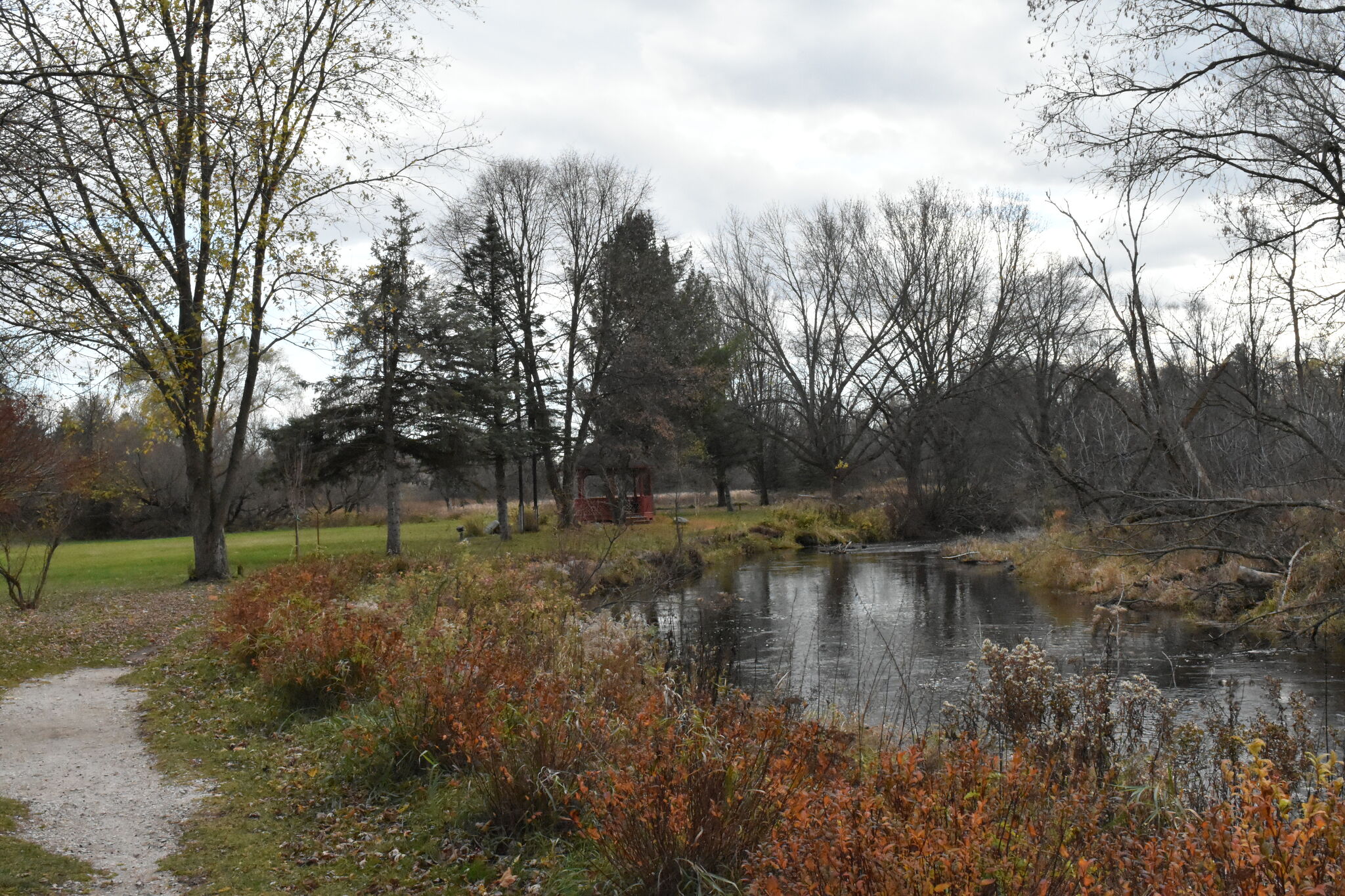 Morley Community Center, Reed City receive grants to plant trees