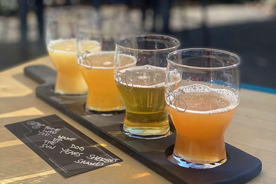 Bike Dog Brewing Company, NorCal's premier dog-friendly brewery