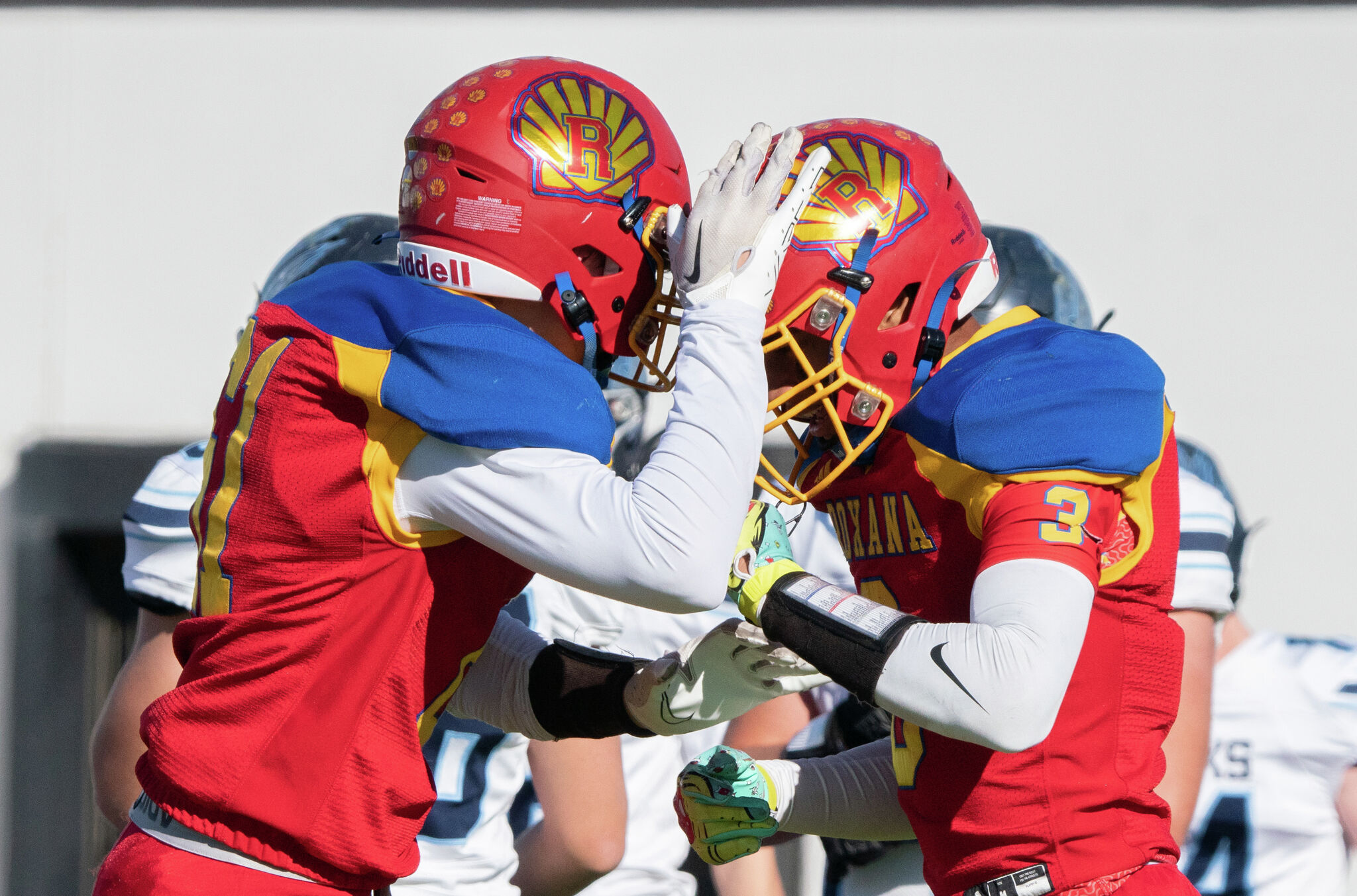 Shells season ended with loss in second round of IHSA playoffs