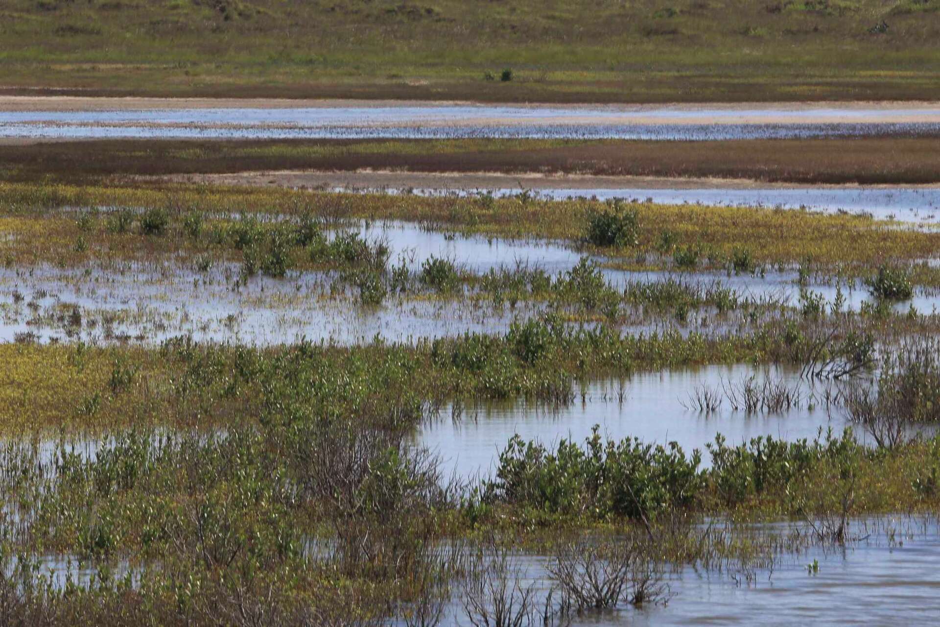 Texas Gulf Coast locales likely to be under water once a year in 2050