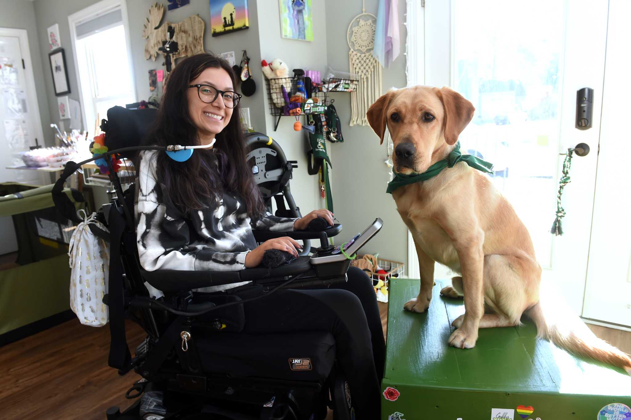 West Haven woman finds perfect puppy service dog