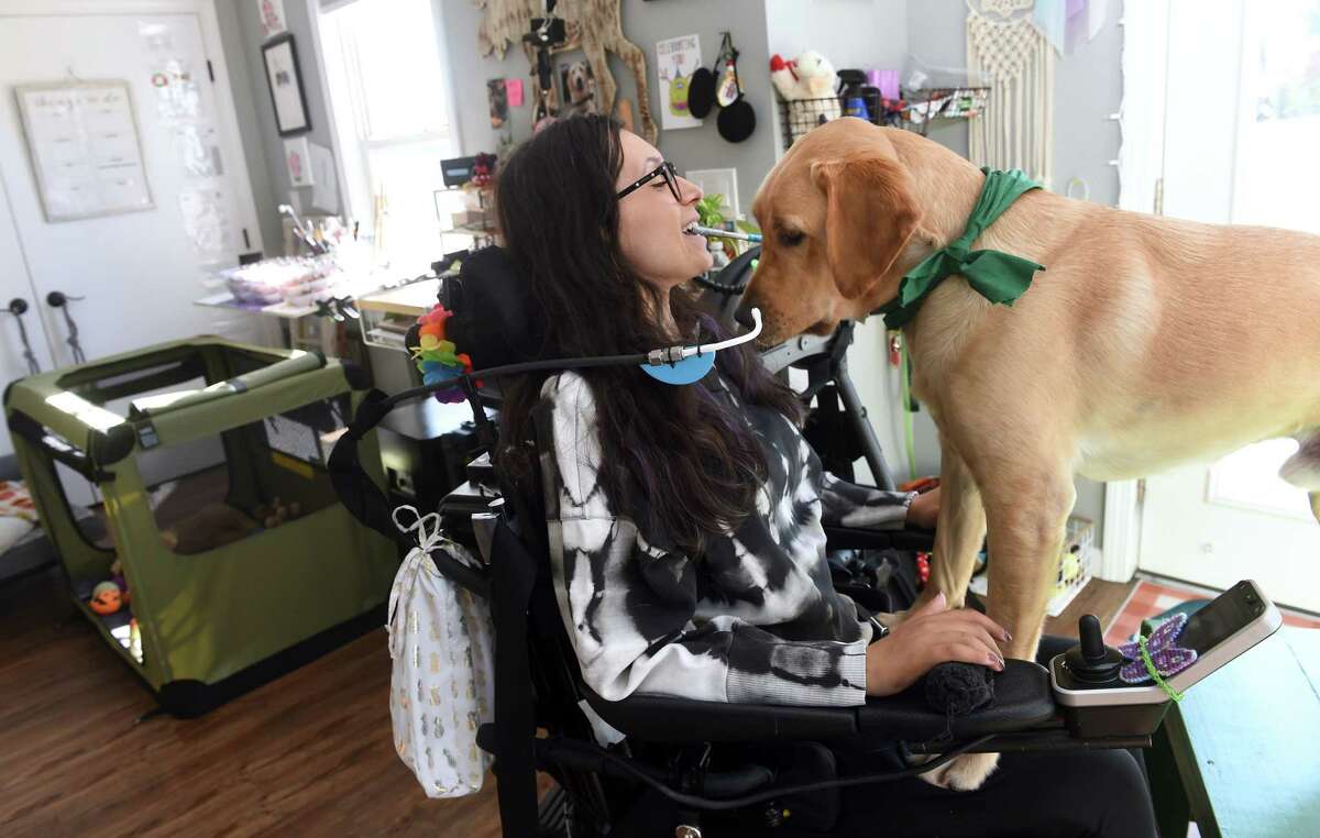 West Haven woman finds perfect puppy service dog