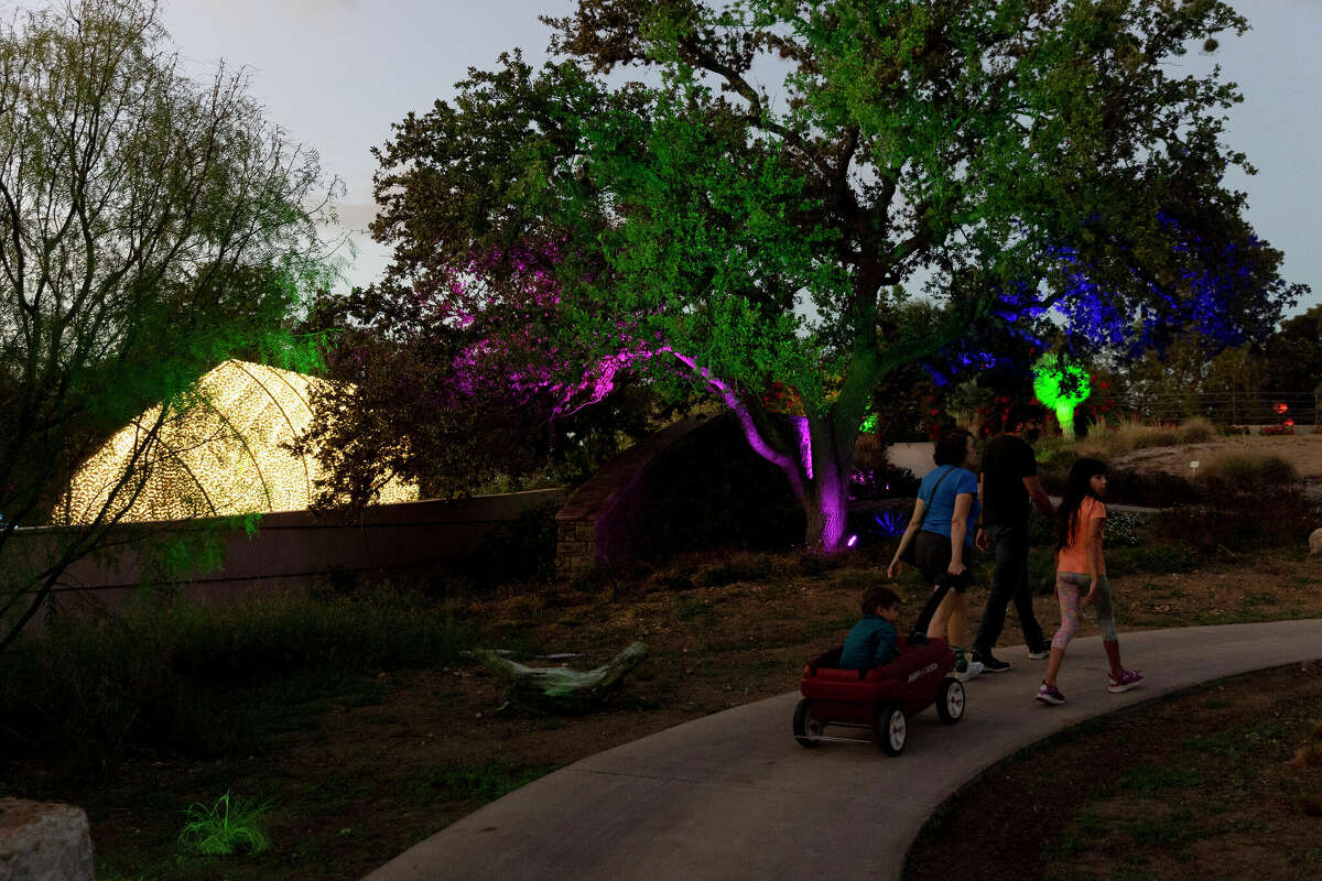 Sneak peek: 'Lightscape' returns to San Antonio Botanical Garden