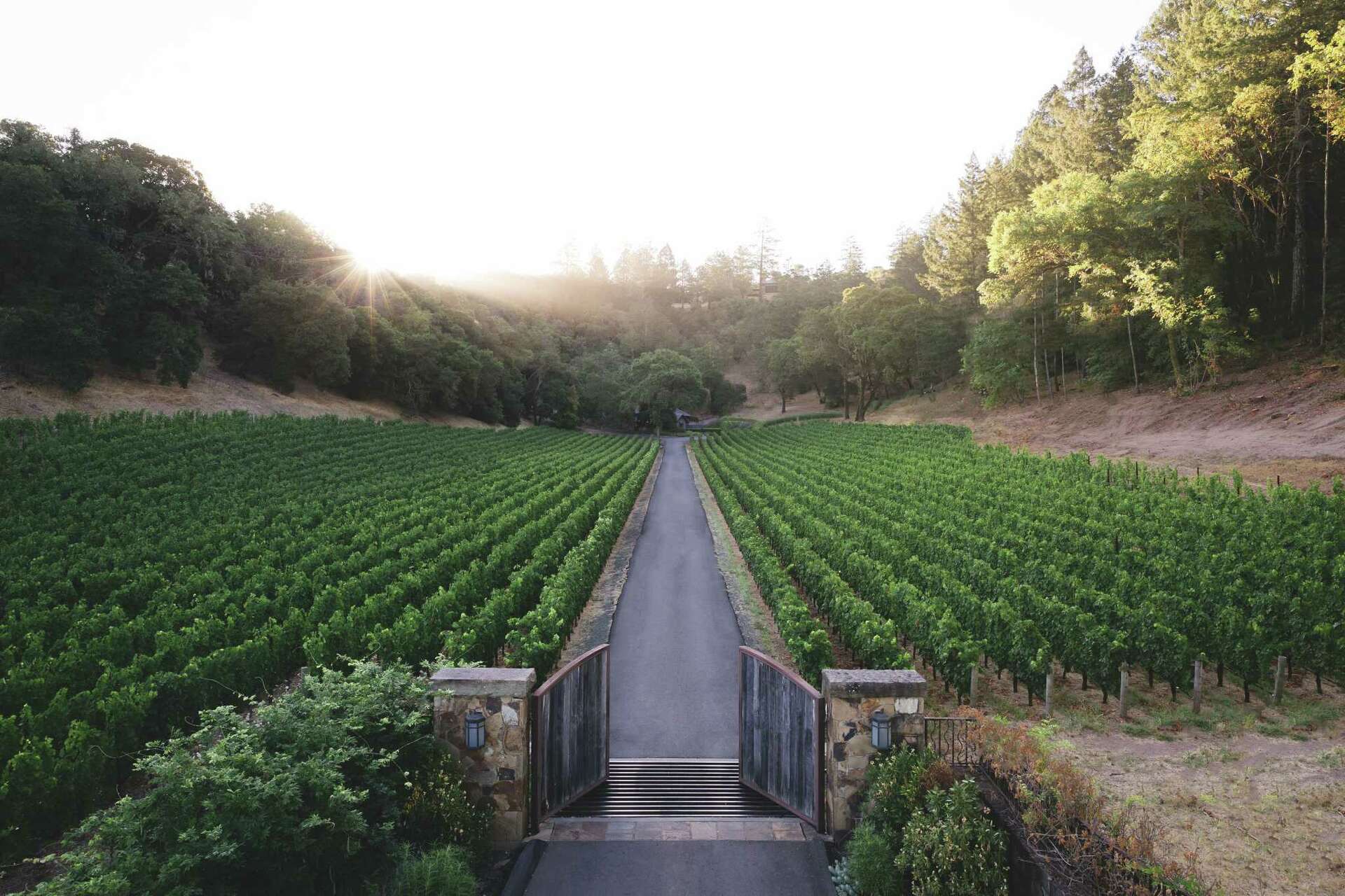 Tuck Beckstoffer ordered to refund winery for personal expenses