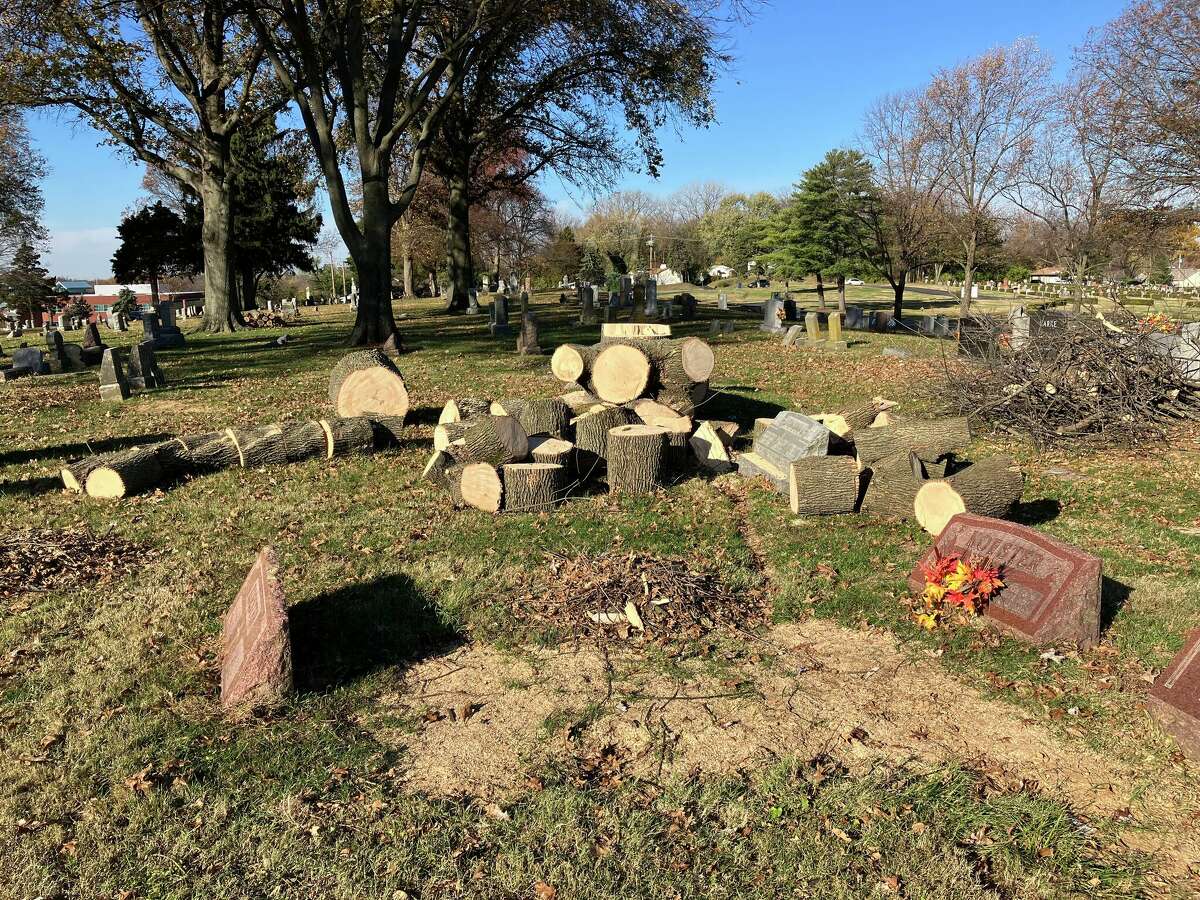 Trees being removed from St. Louis County Catholic cemetery due to ...