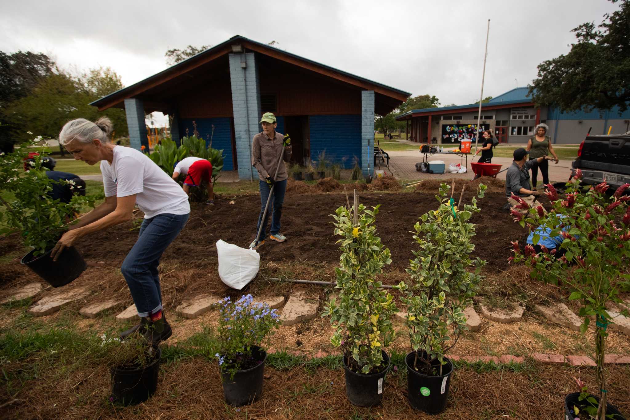 Gulfton has space for 500 trees, offering possible heat relief, study