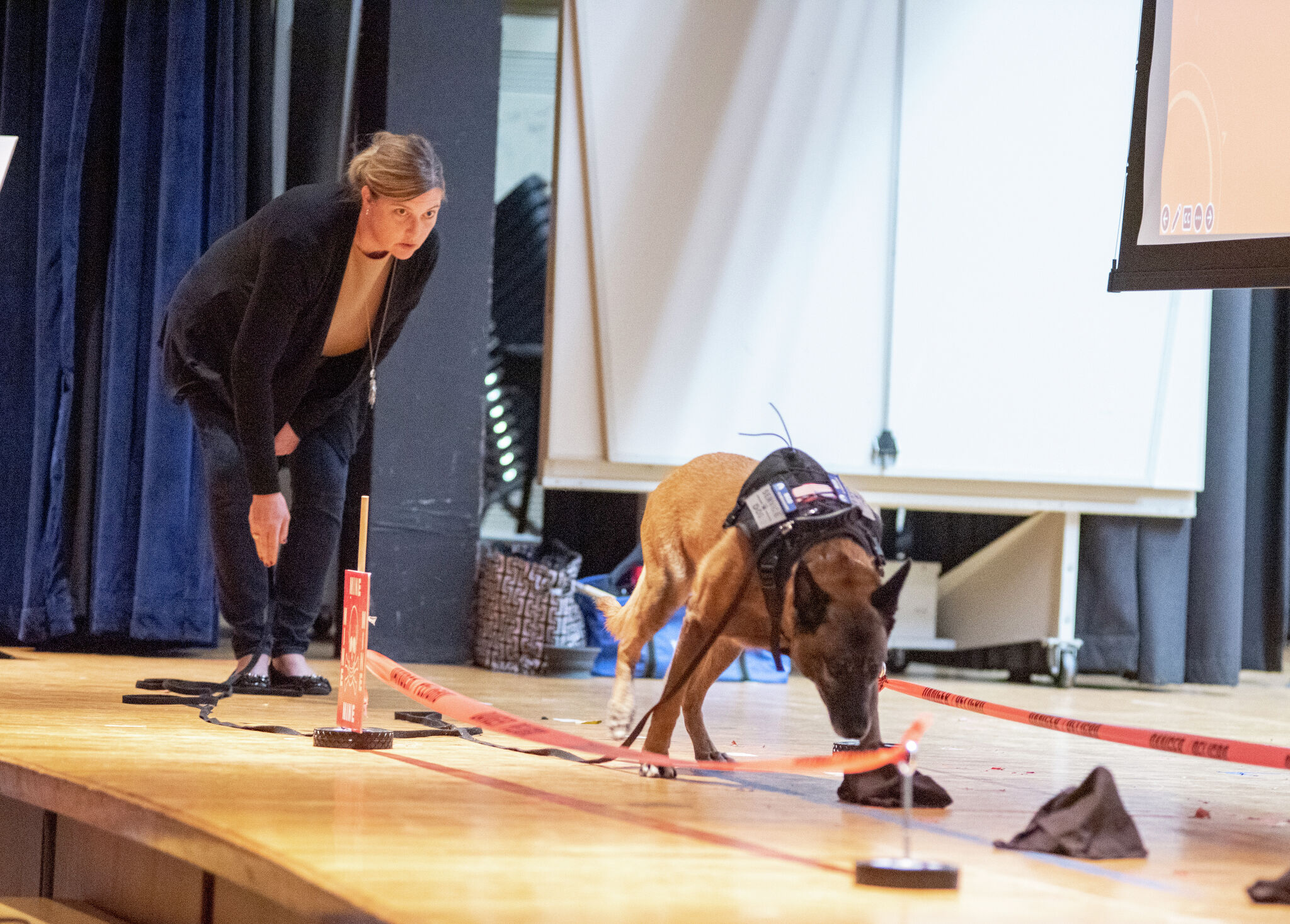 CHAMPS mine detection dog travels to Greenwich schools