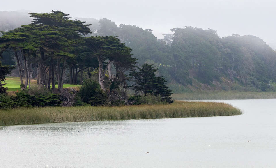 Everything to know about Lake Merced, a beloved SF spot