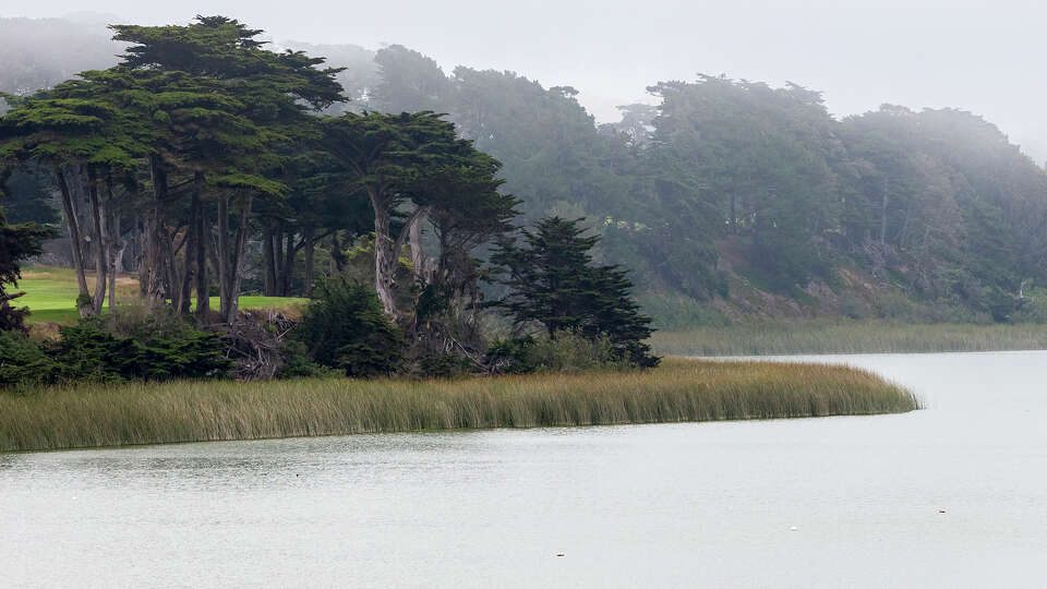 Everything to know about Lake Merced, a beloved SF spot