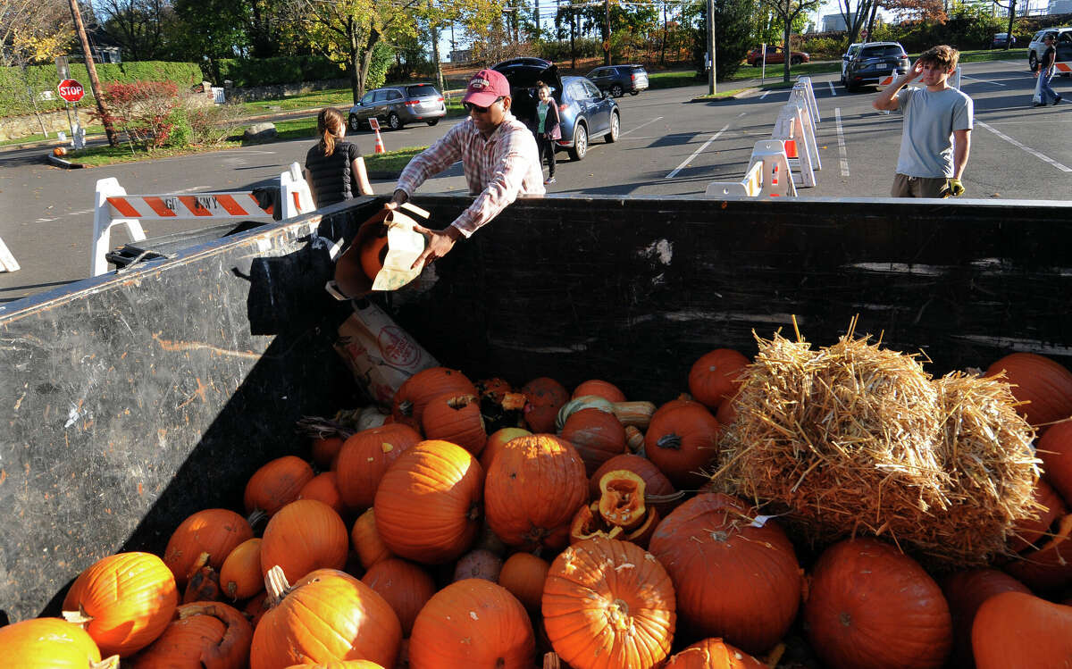 In Photos: The Great Pumpkin Rescue in Greenwich