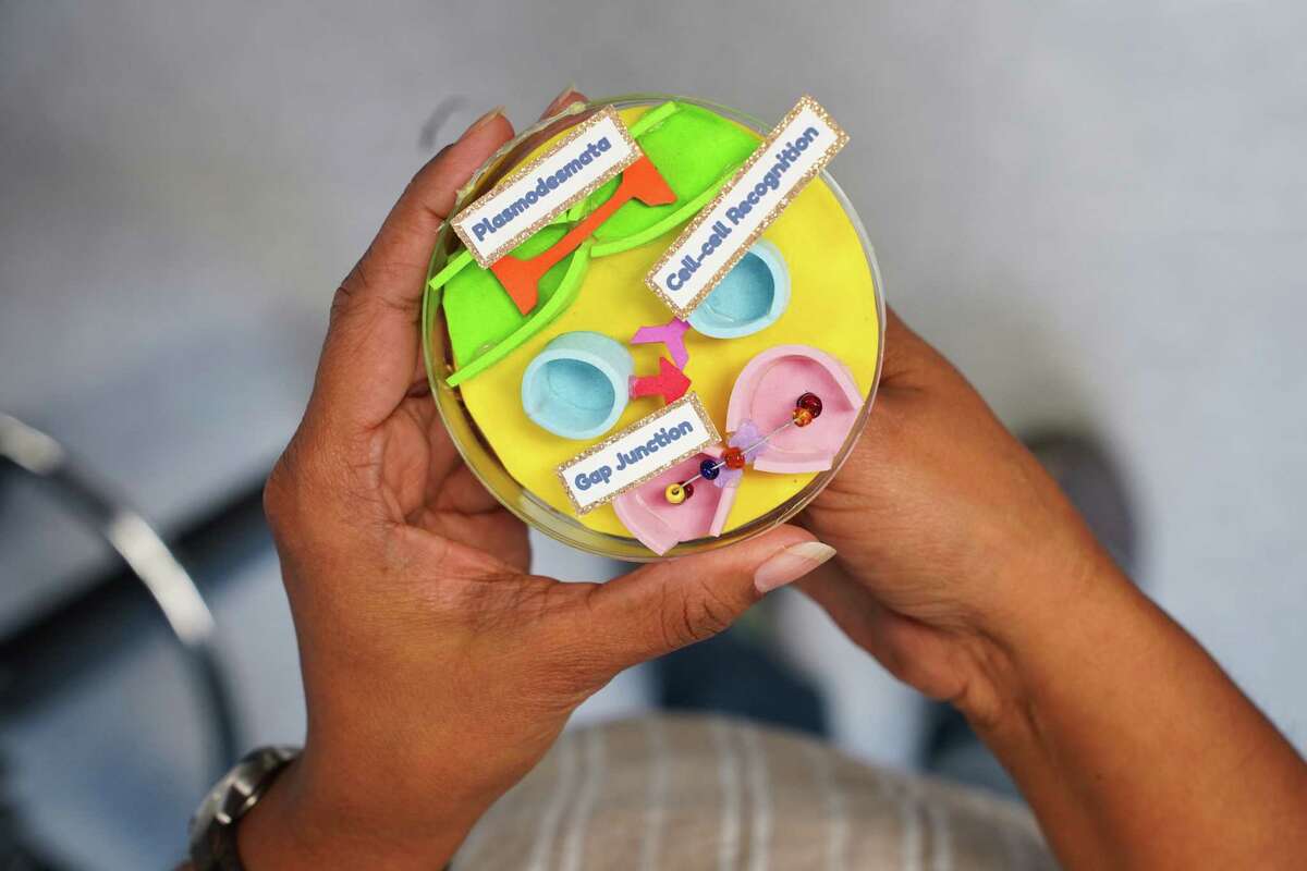 At 50, DeBakey High School still a 'pipeline' for health careers