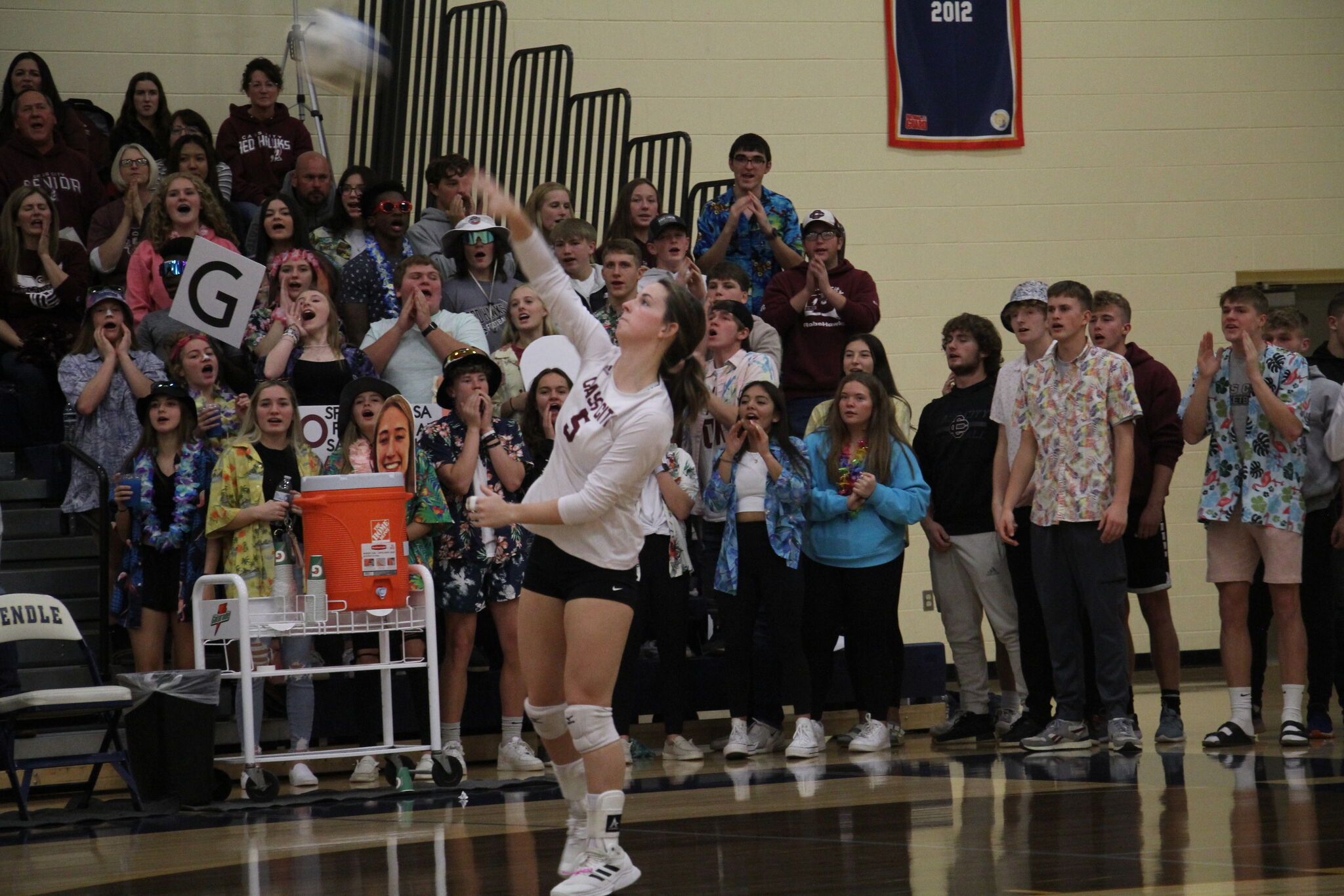 Cass City Kacee Gray is the Tribune's Female Athlete of the Week