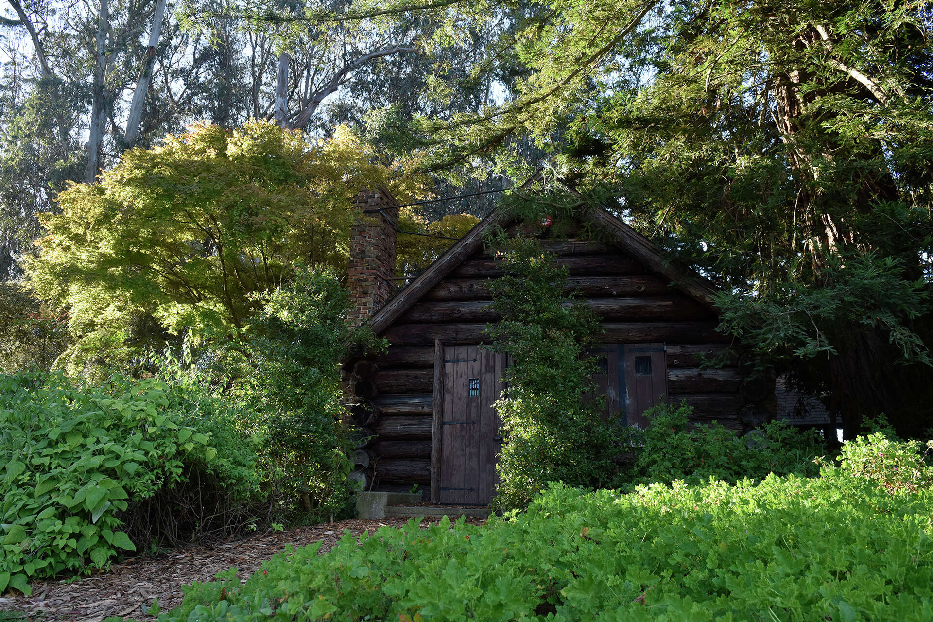 Pioneer Log Cabin in Golden Gate Park will soon be for rent