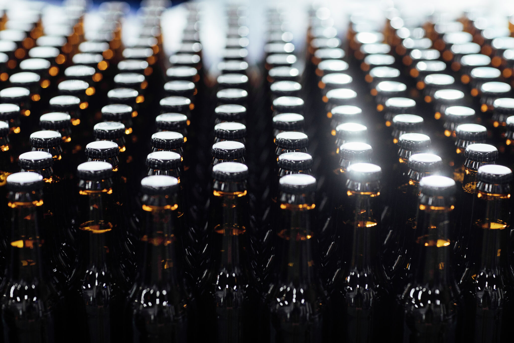 College Station pair steal $1K worth of beer from H-E-B