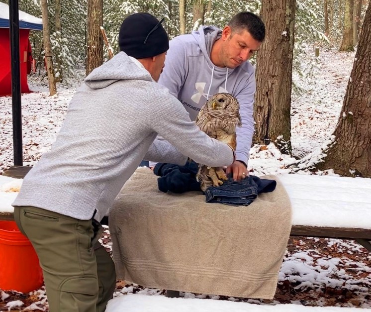 Whooo rescued an owl in Manistee County?