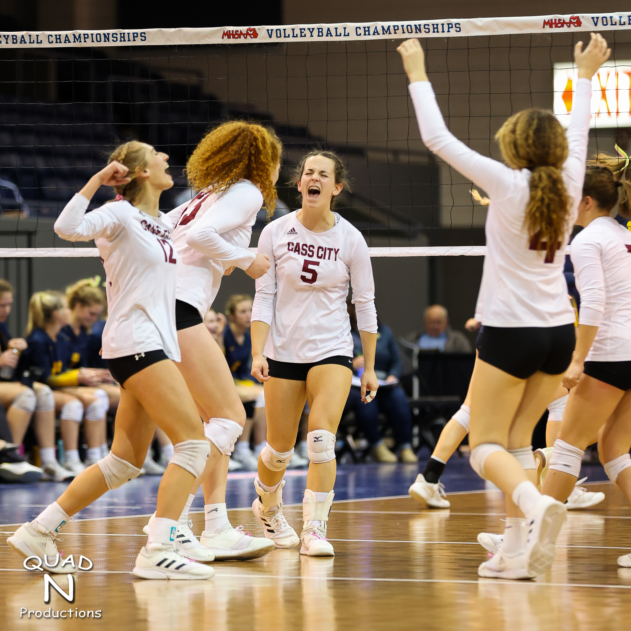 Red Hawks volleyball loses to Pewamo-Westphalia in state semifinals