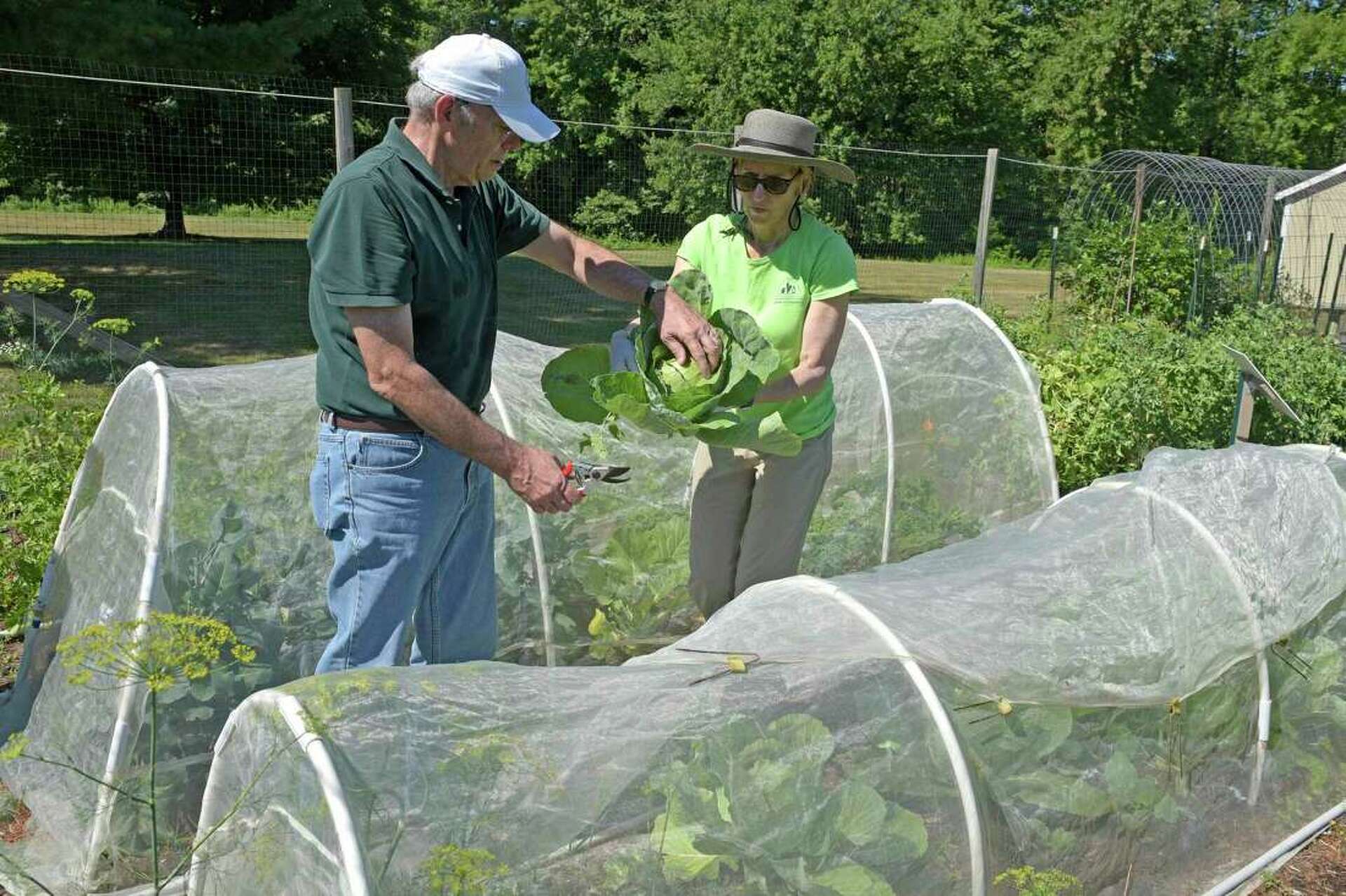 Bethel eyes ownership of UConn Extension site on Stony Hill Road