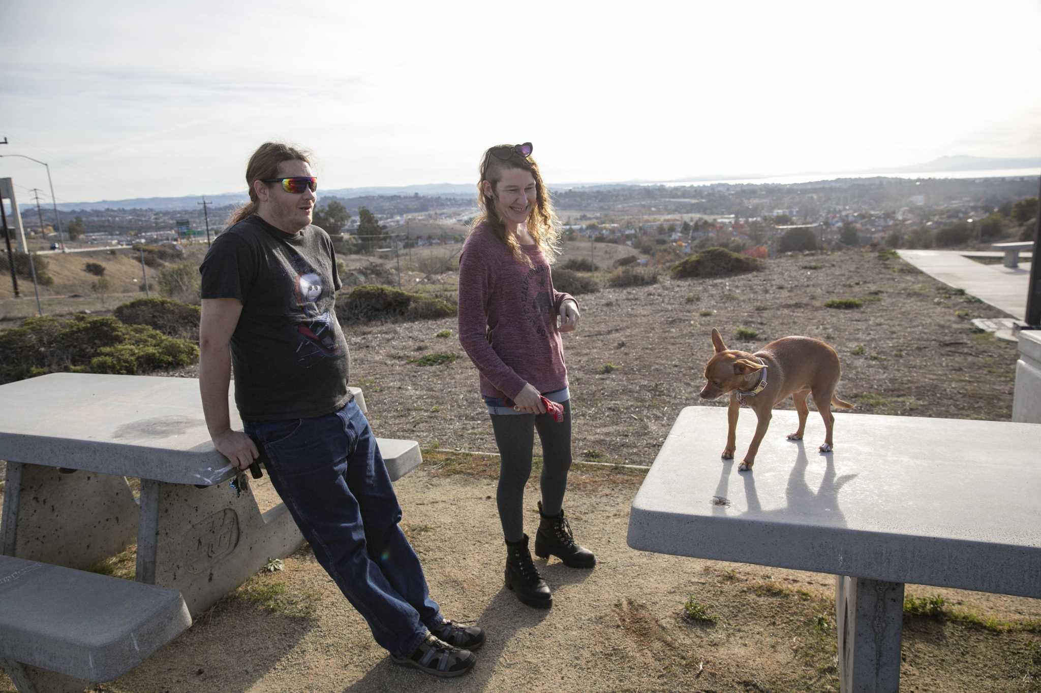 California highways: Amid holiday travel crush, these Caltrans rest ...
