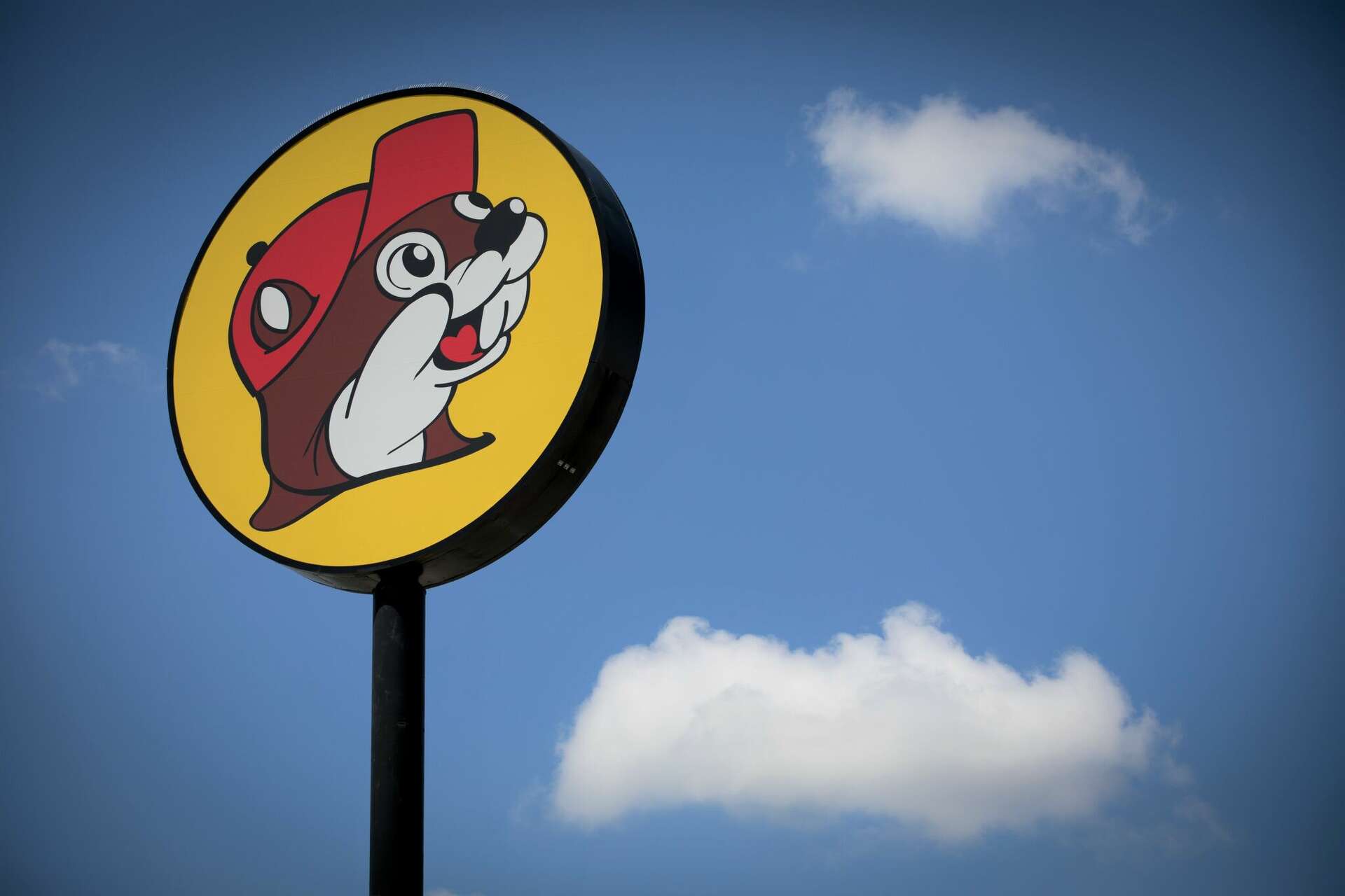 Fun facts about the Buc-ee's infamous beaver logo