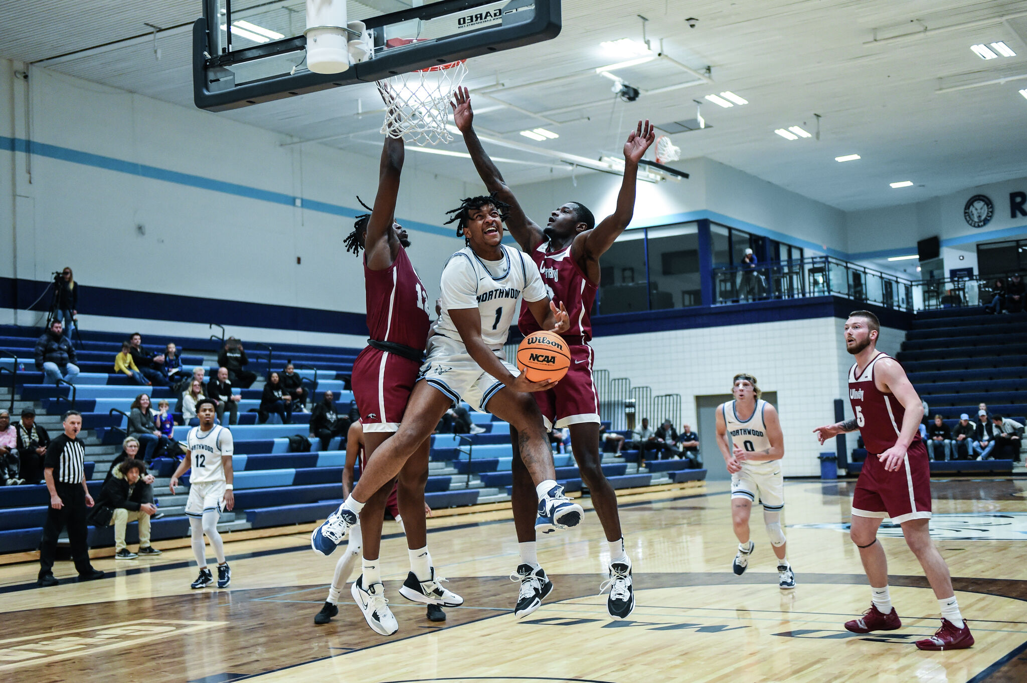 Injury-plagued T'wolves still finding their way