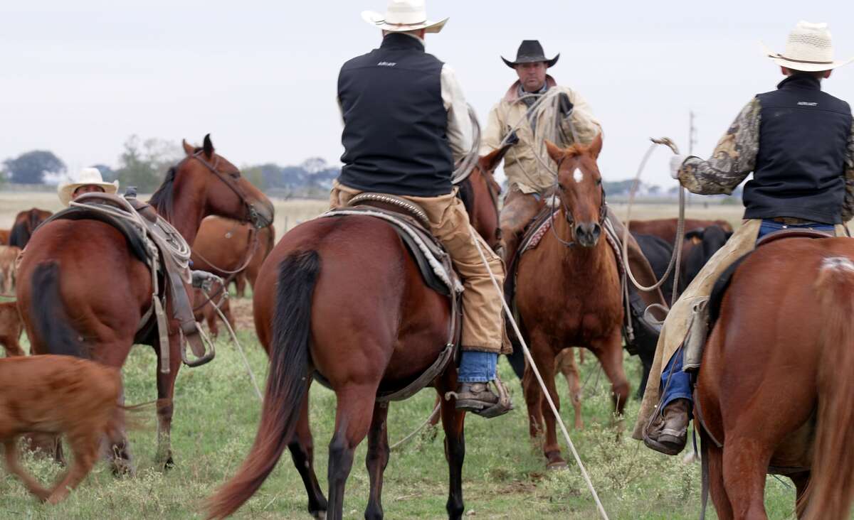 How Texas ranchers are fighting climate change [Essay]