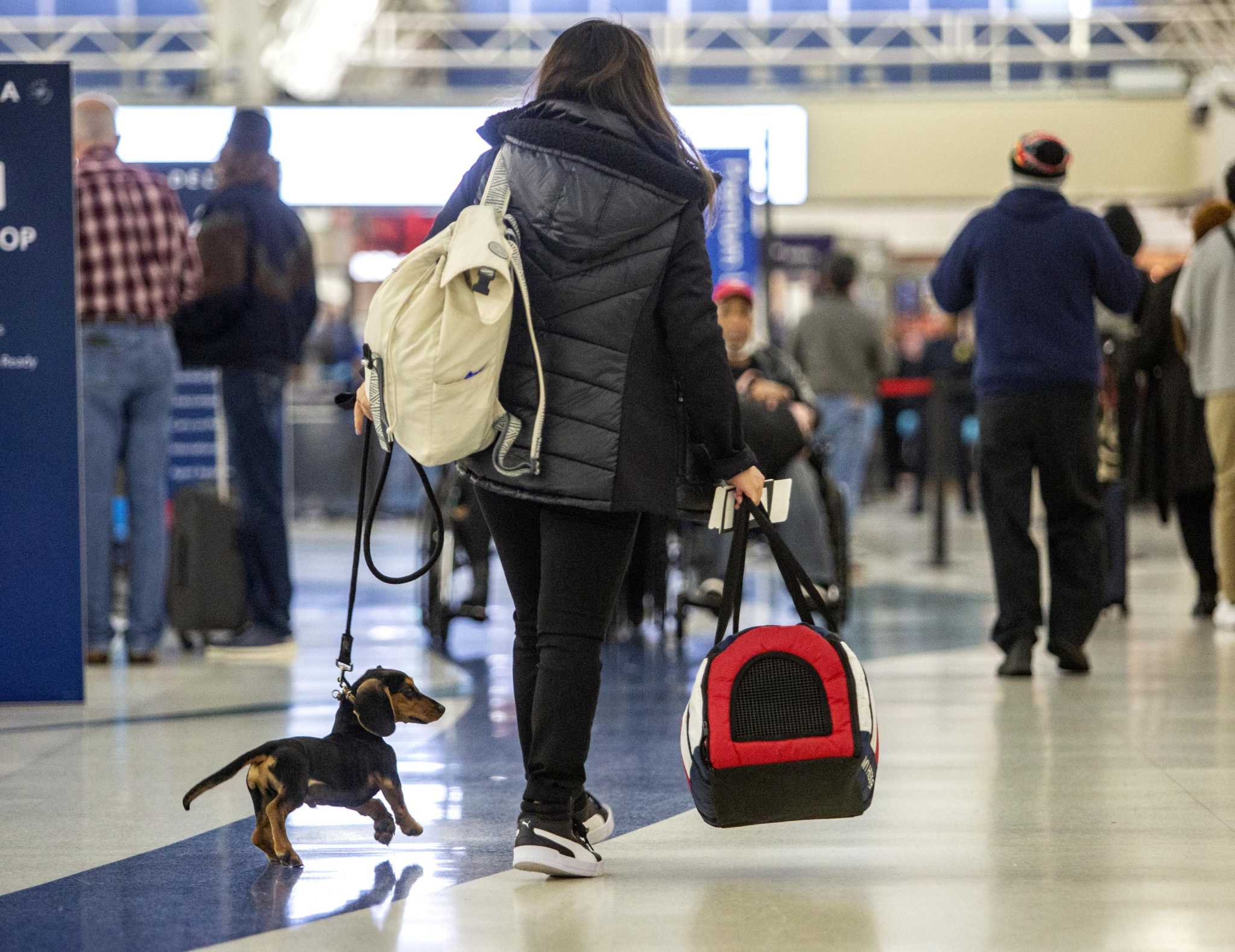 ‘We’re blessed’: Thousands take flight Wednesday for Thanksgiving holiday