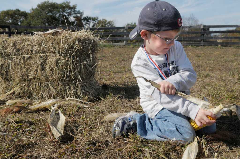 Family Farm Olympics - Times Union