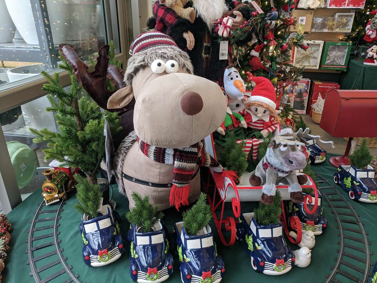 Greenwich Reindeer Festival ushers in the holiday season