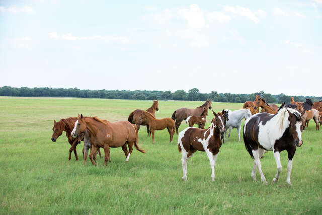 Terry Bradshaw moves to Texas after selling 744-acre ranch
