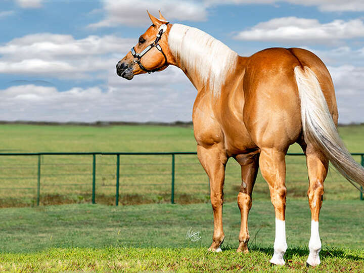 Terry Bradshaw moves to Texas after selling 744-acre ranch