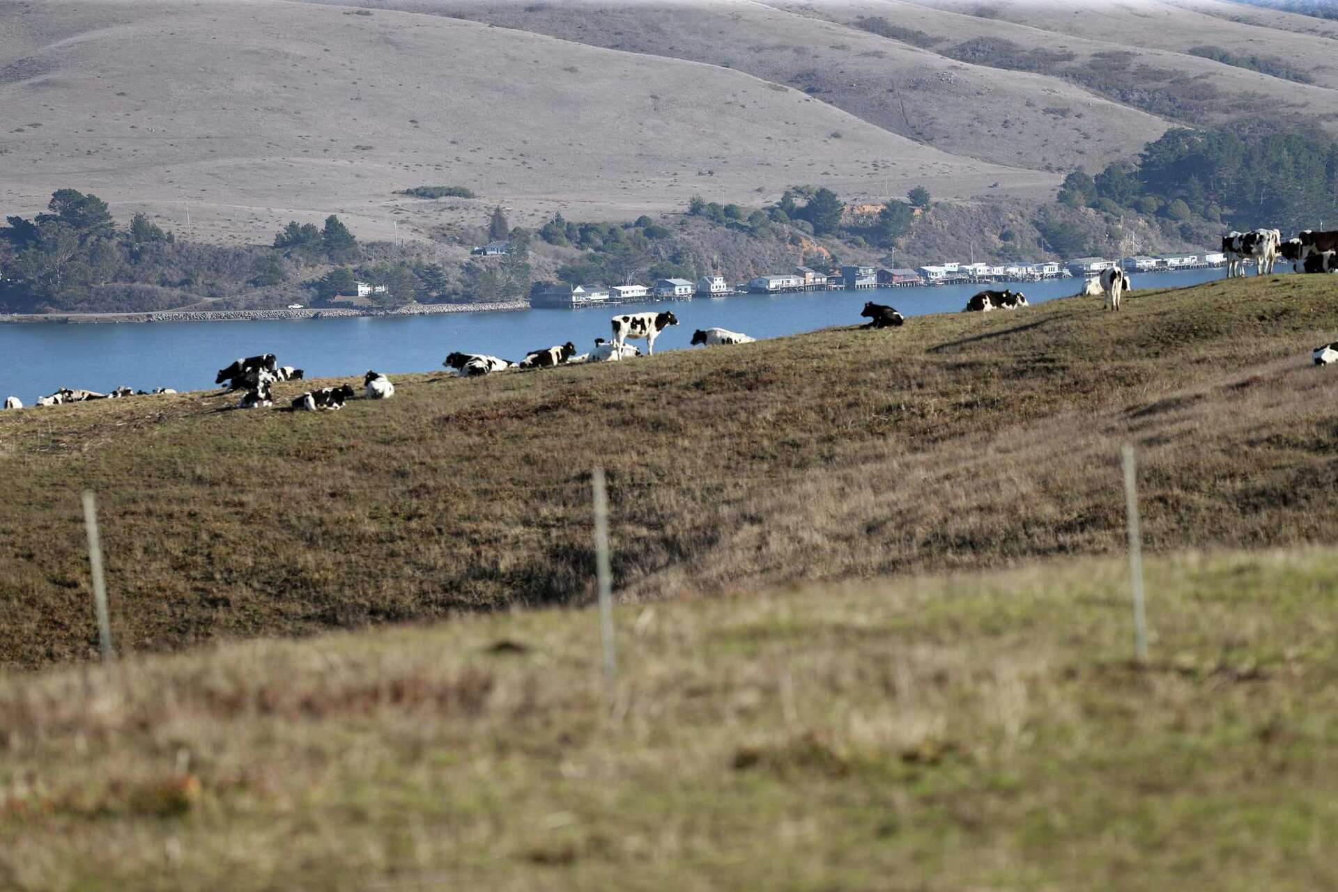 Is the water safe at Point Reyes beaches? Here is what we know