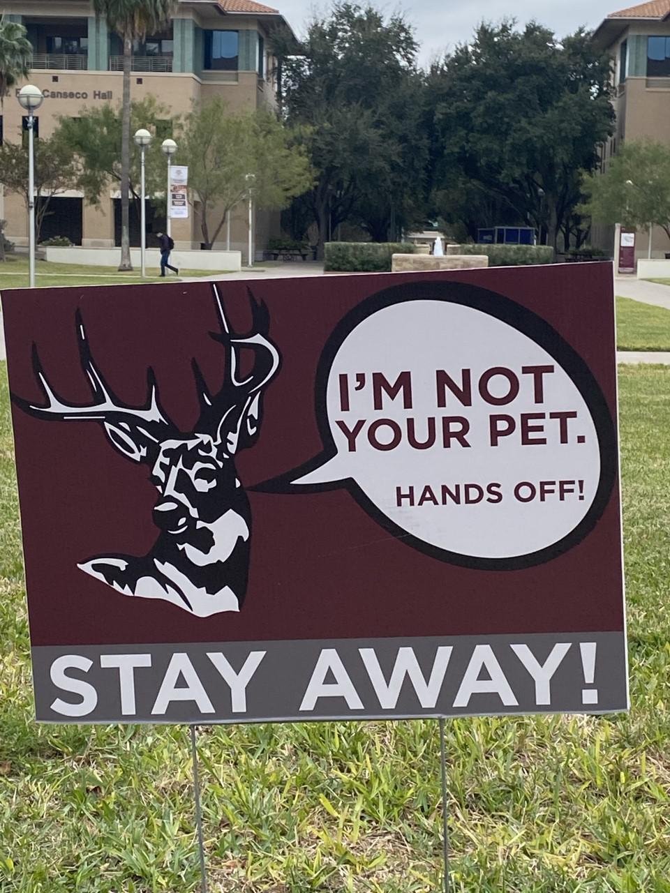 TAMIU awareness campaign addresses campus wildlife