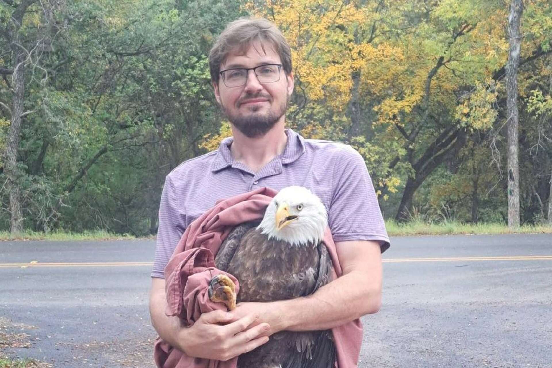 Bald eagle found in San Antonio: Missing bird escaped conservancy