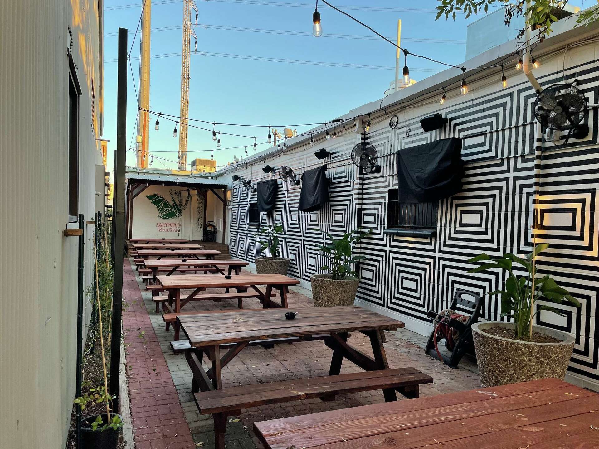 Ladybird Beer Garden Photos