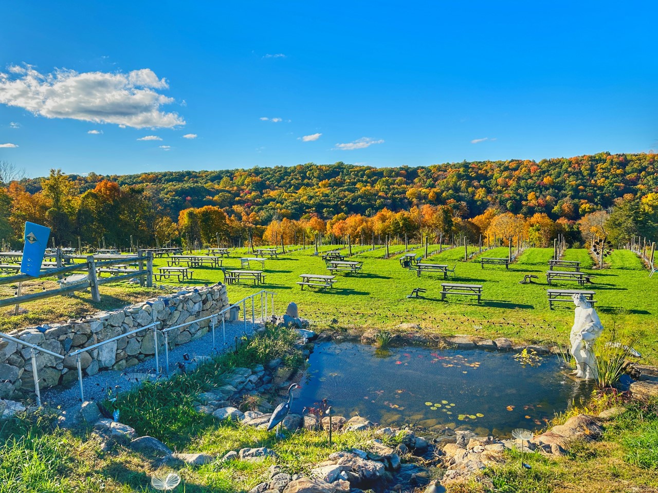 Newtown winery Aquila's Nest Vineyards becomes carbon neutral