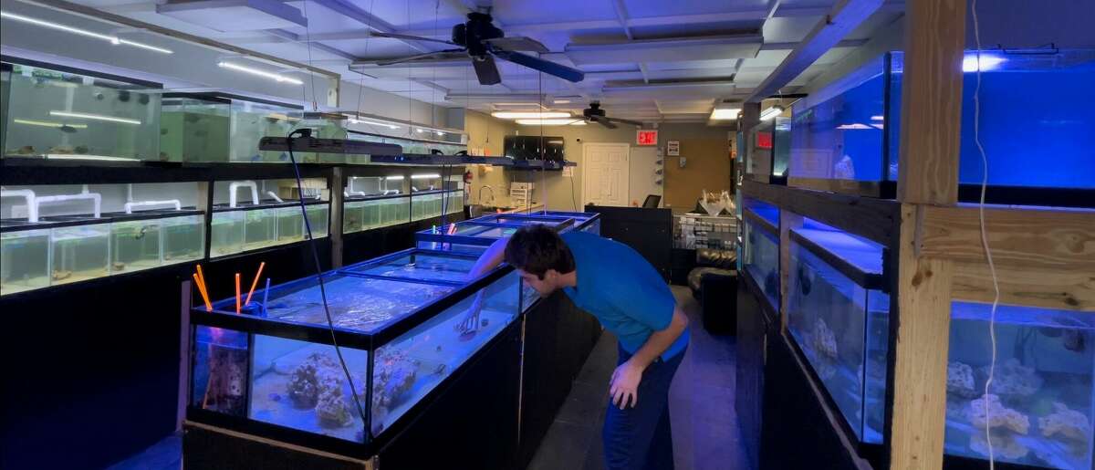 Former Westhill students open Westchester County fish store