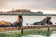 7 things you might not know about the San Francisco Bay