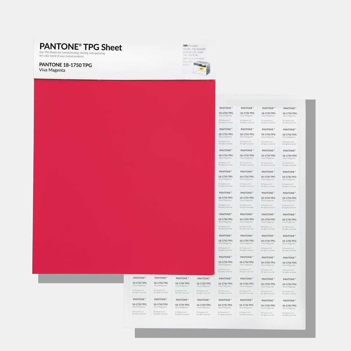 Pantone Color of the Year 2023: Viva Magenta takes annual honors