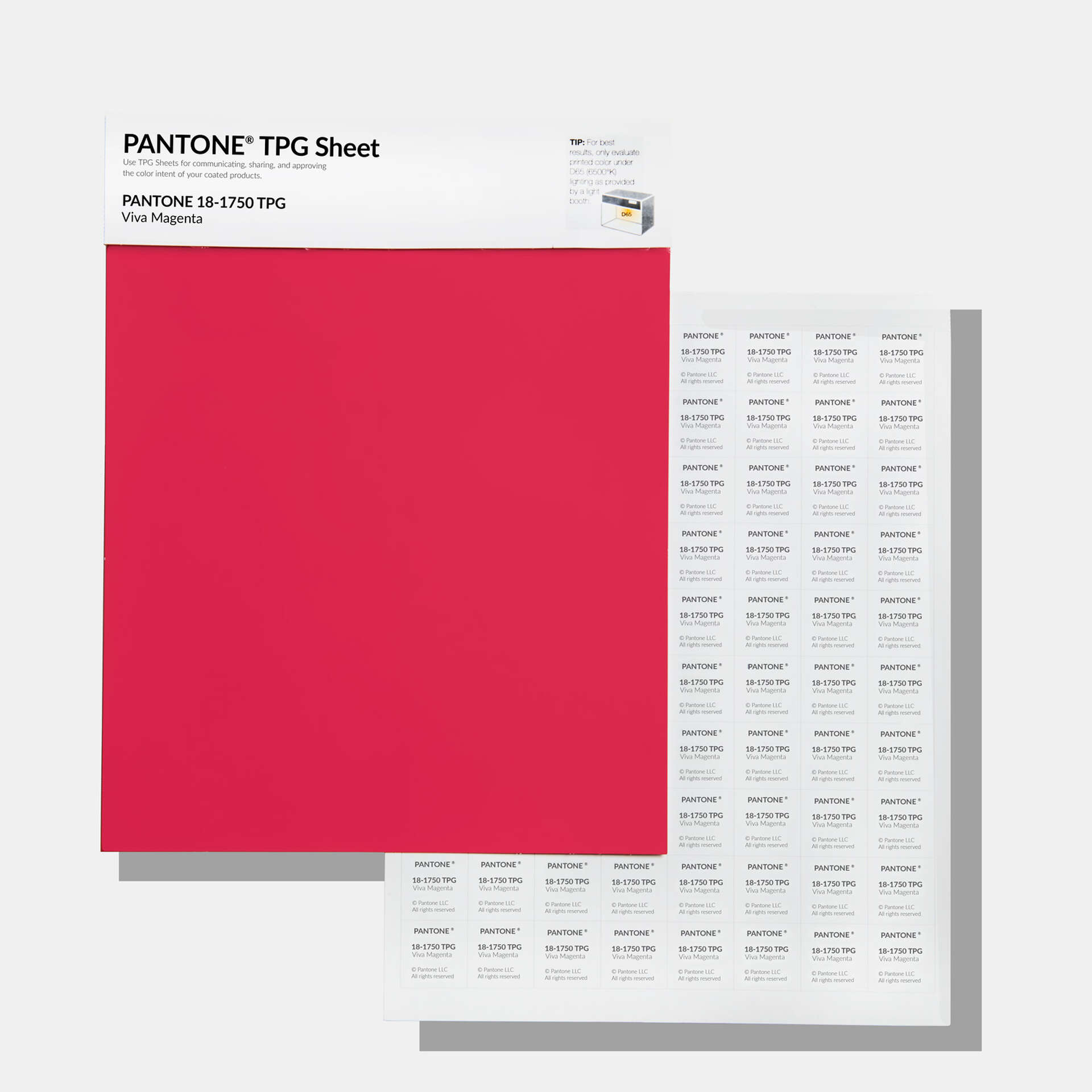 Pantone Color of the Year 2023: Viva Magenta takes annual honors