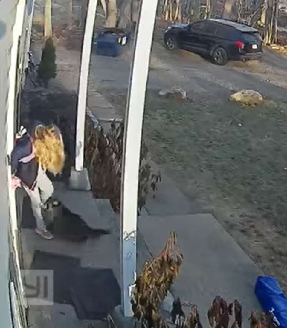 Video shows CT mom save screaming daughter from attacking raccoon