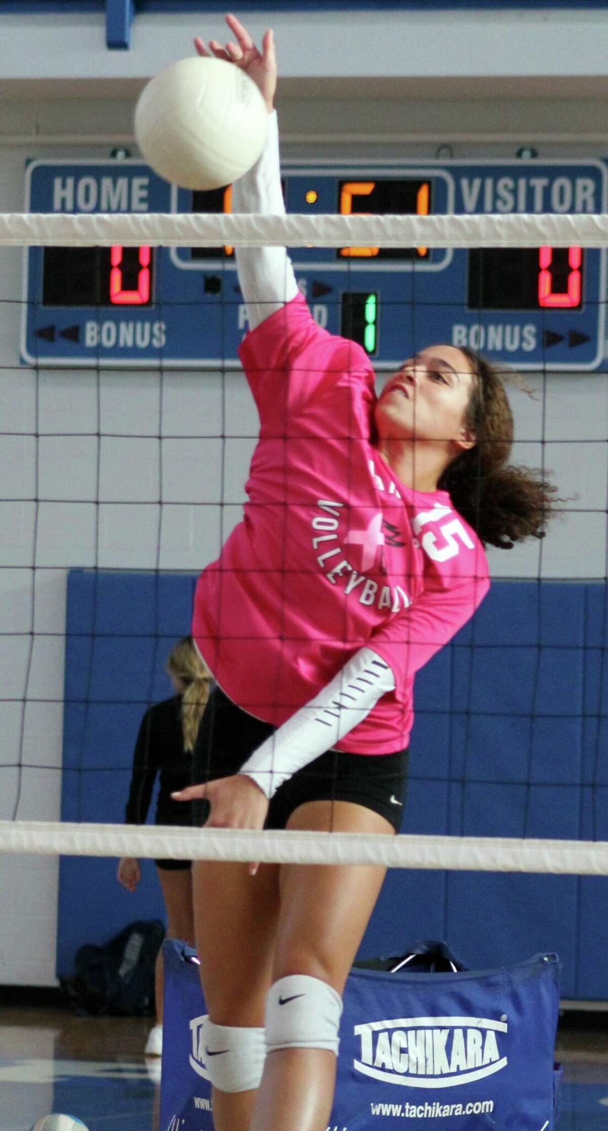 Thumb Sportswriters Association names 2022 All-Thumb volleyball teams