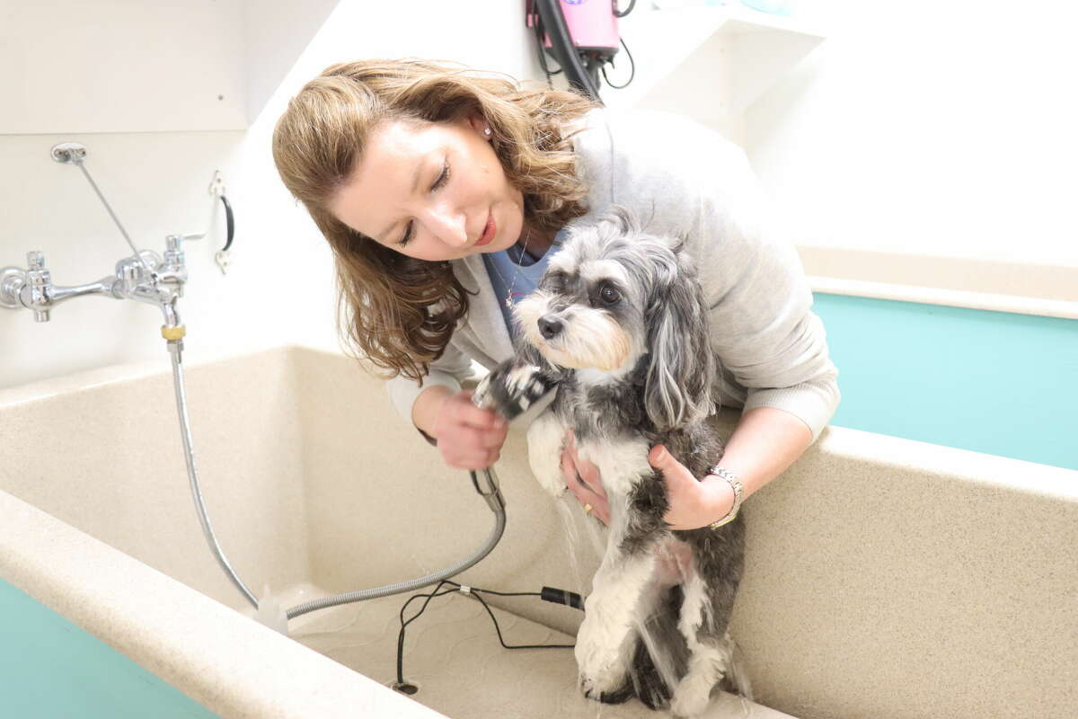 Get to know the owner of Pippa's Closet, a dog boutique in Beaumont